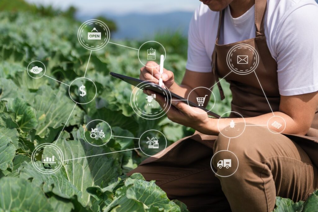 Foodservice Supply Chain Management Solutions | ArrowStream